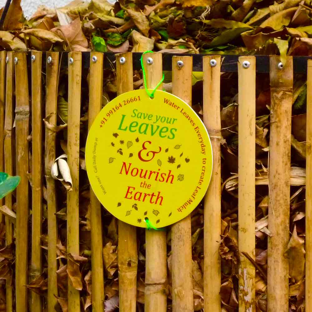 Saving leaves with Bengaluru's designers