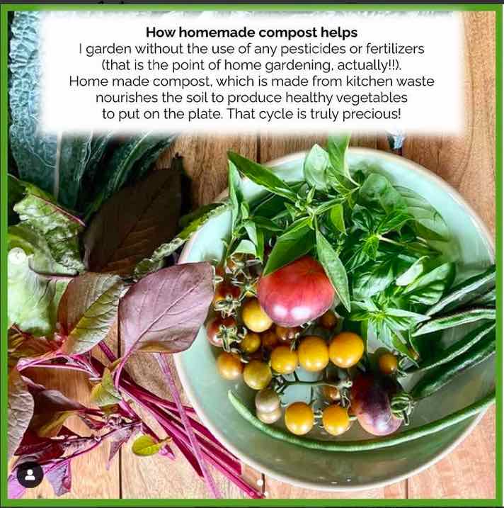 How homemade compost helps you put healthy food on your plate