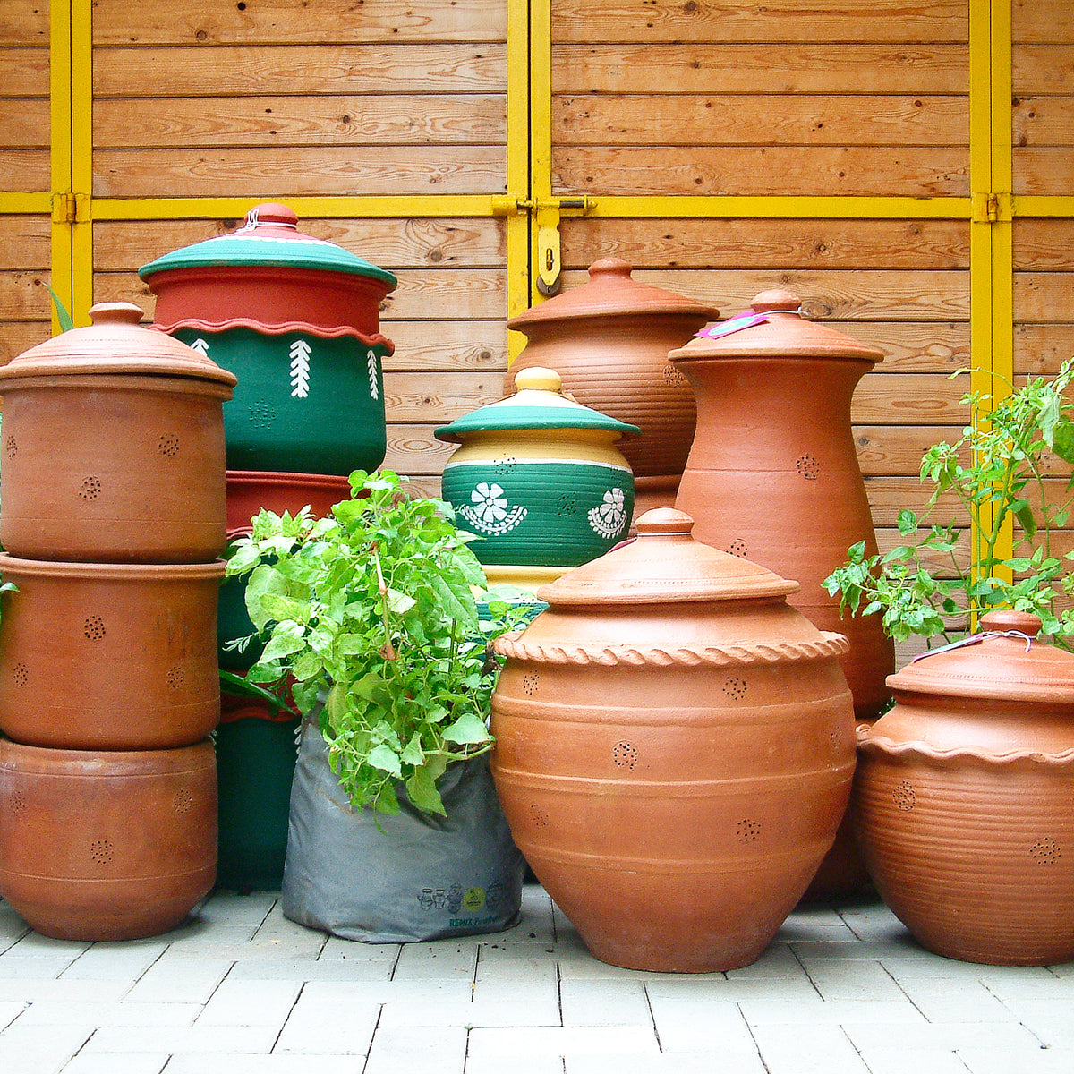 Choosing the Best Compost Bin For Your Home | Daily Dump Compost