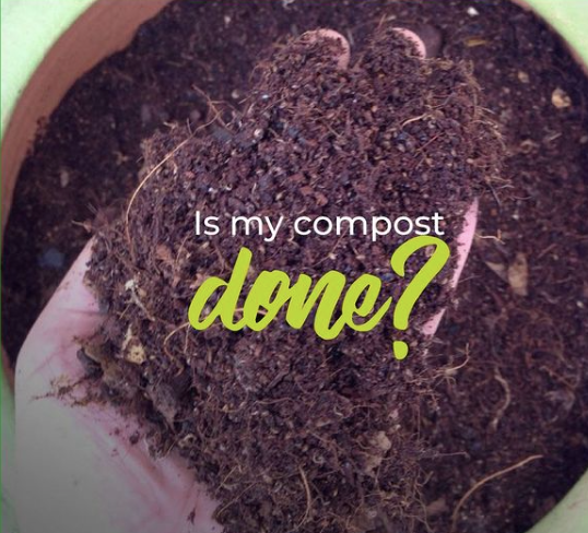 Is my compost ready | Composting Tips from Daily Dump