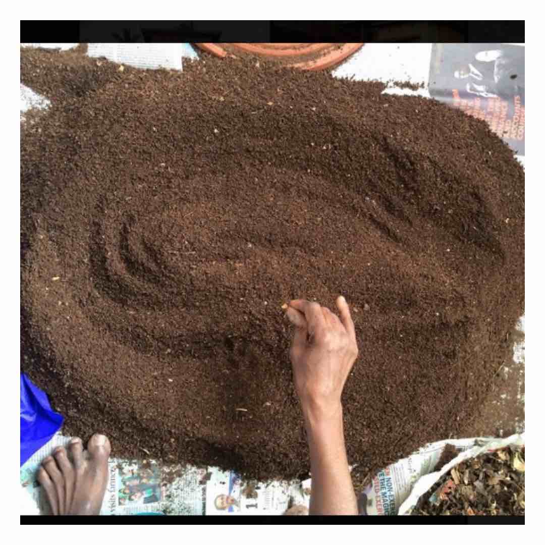 How to choose the right Potting Mix